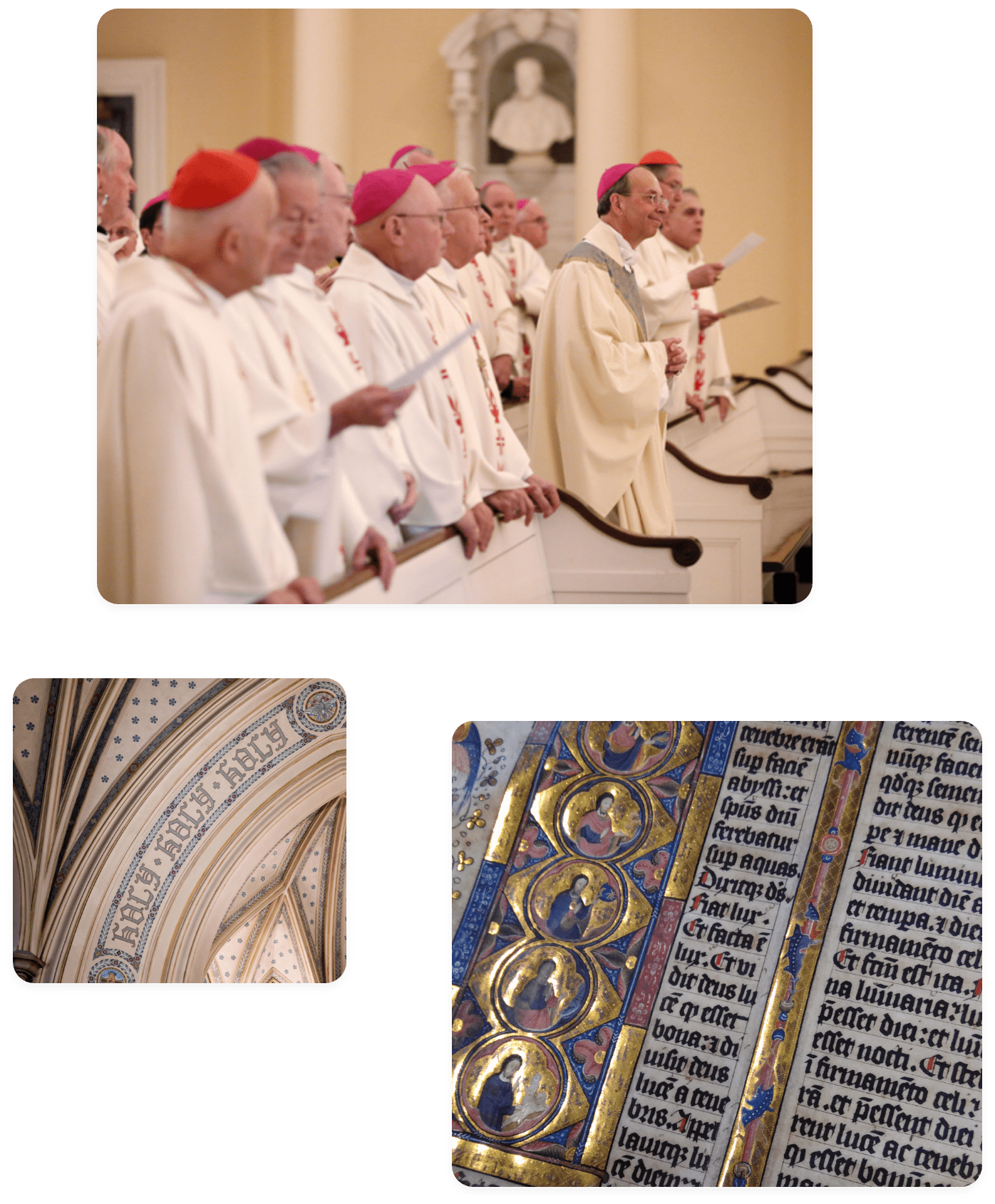 Veterum Sapientia Institute | Learn Living Latin